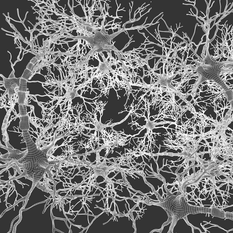 3d model neural network