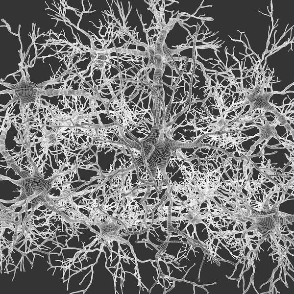 3d model neural network