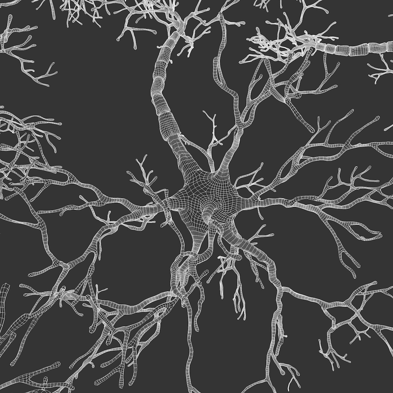 3d model neural network