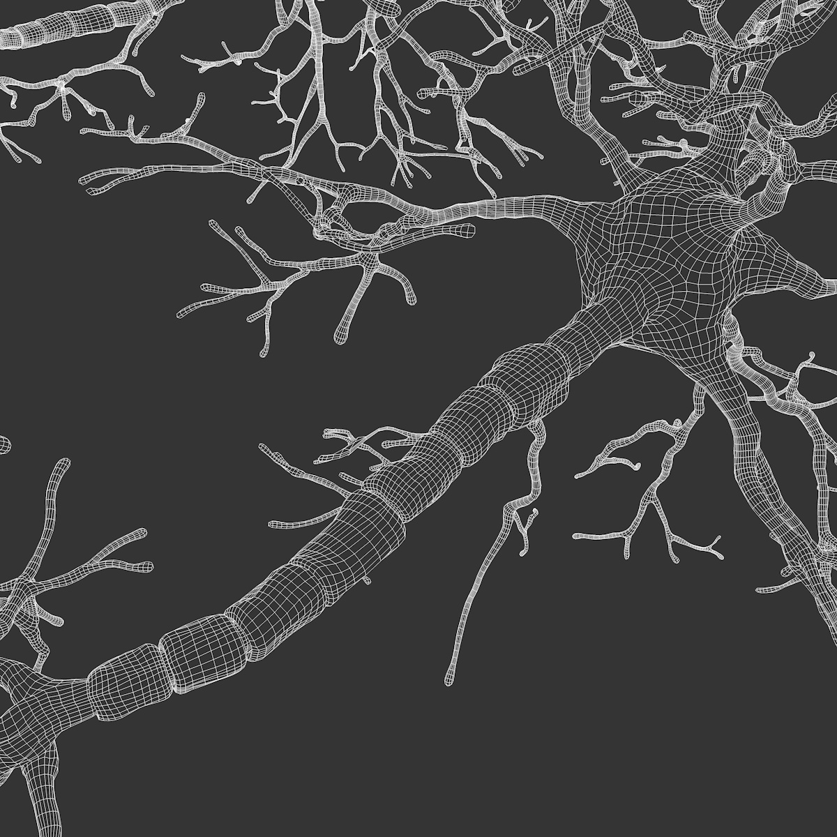 3d model neural network