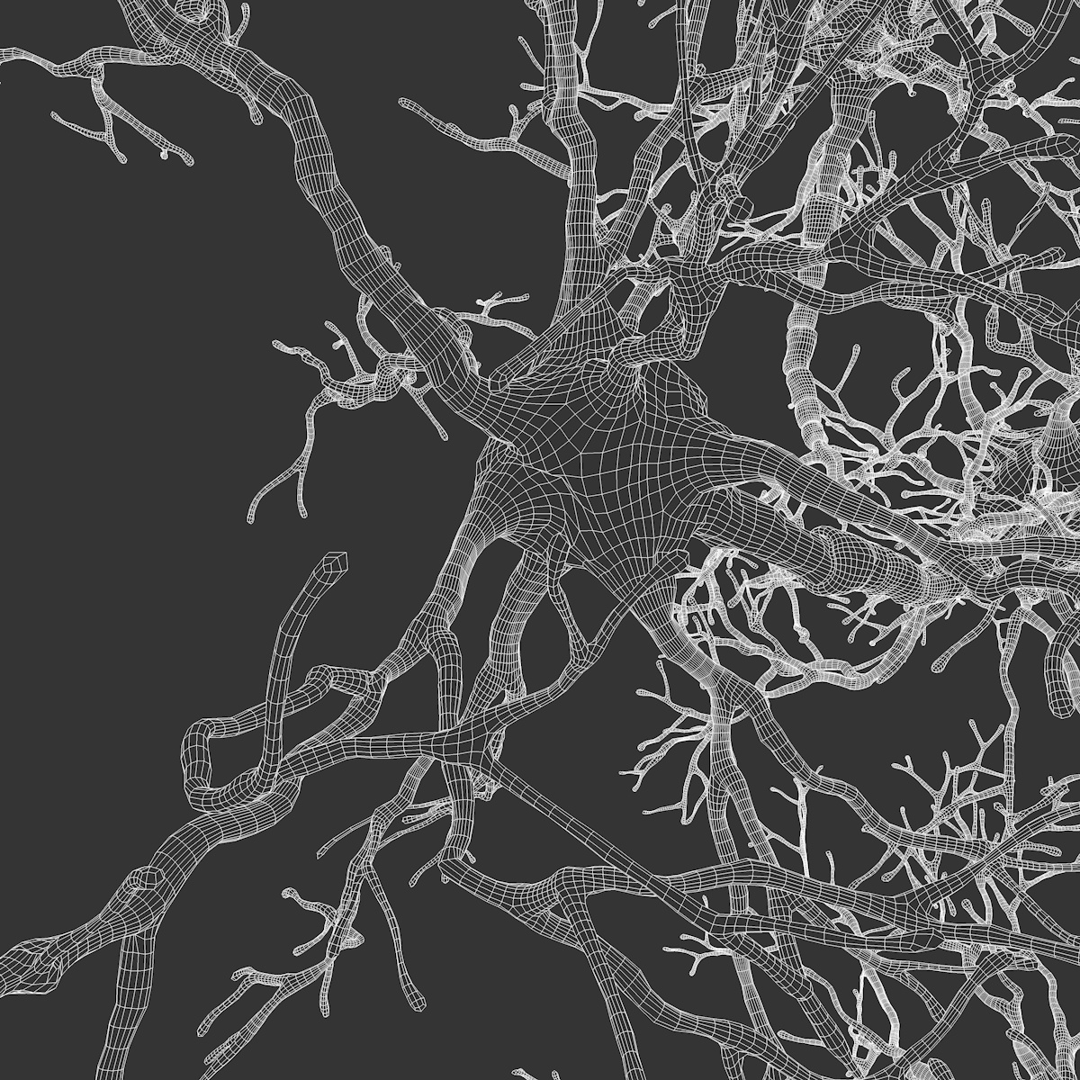 3d model neural network