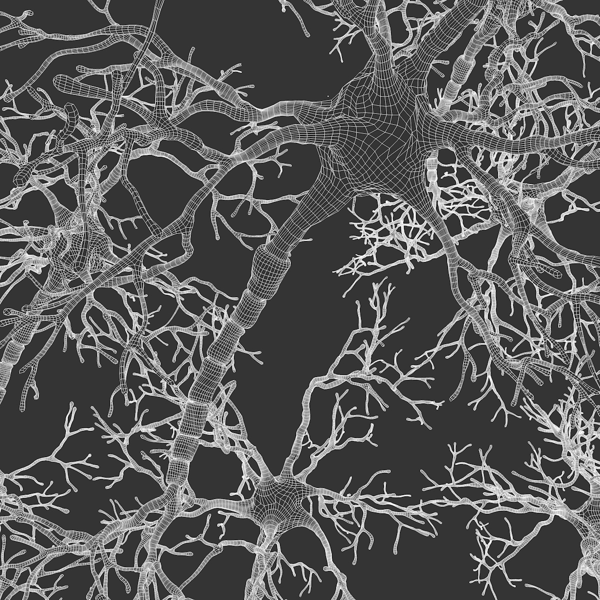 3d model neural network