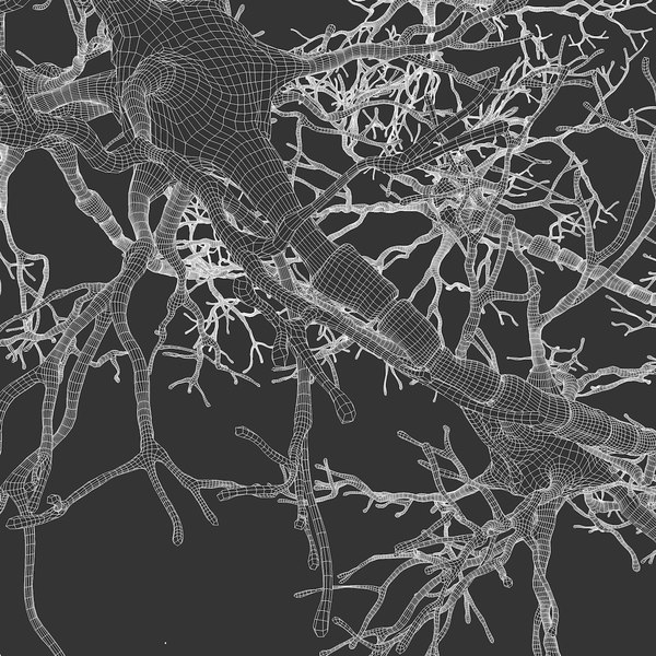 3d model neural network