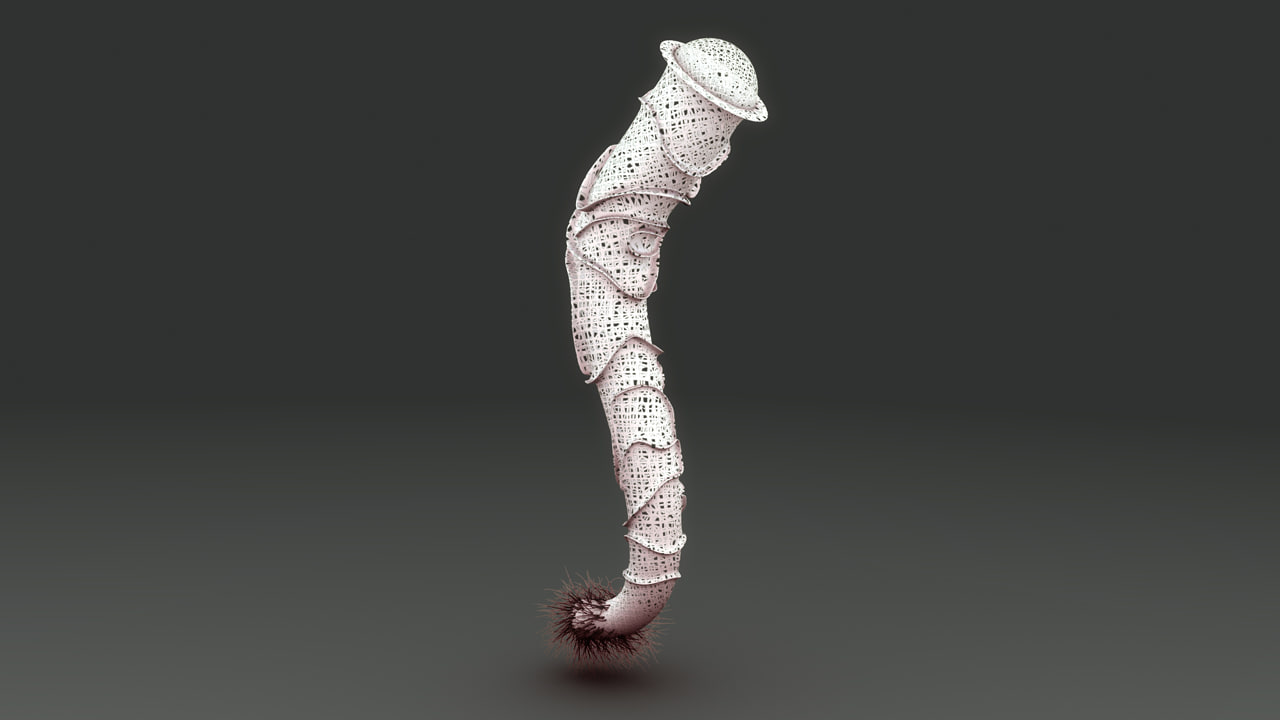 euplectella flower 3d obj
