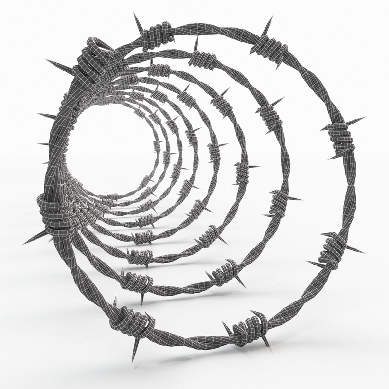 barbwire barb wire 3d model