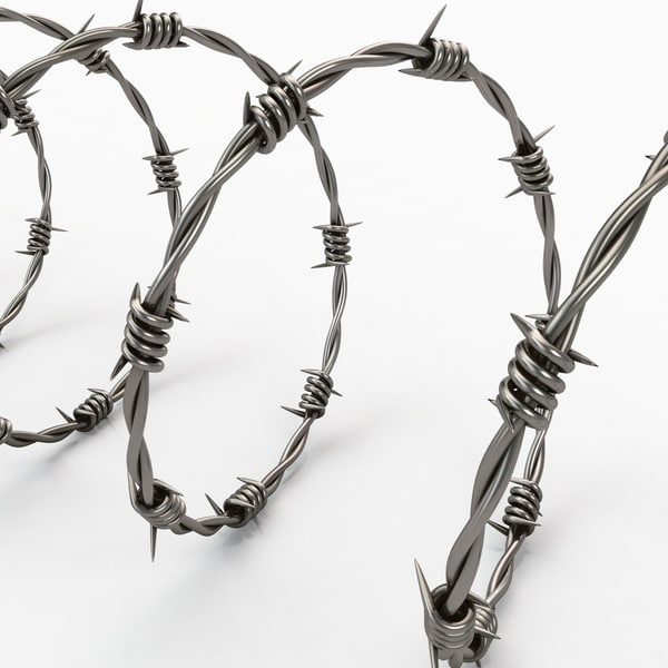 barbwire barb wire 3d model