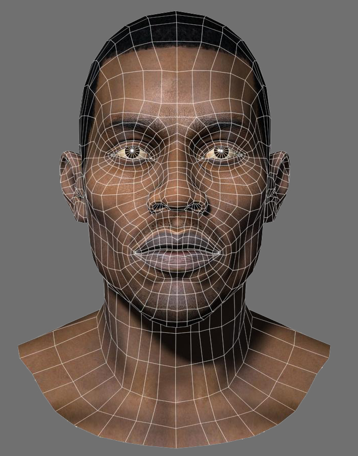 3d model morph target heads