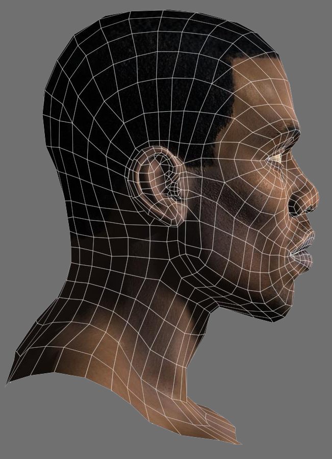 3d model morph target heads