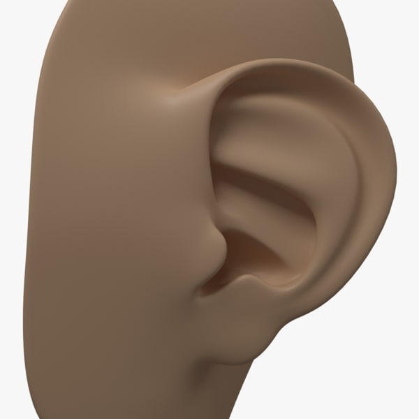 Blender Ear Models | TurboSquid