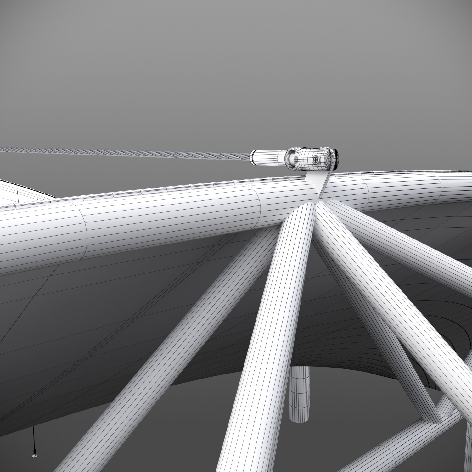 tensile membrane canopy max