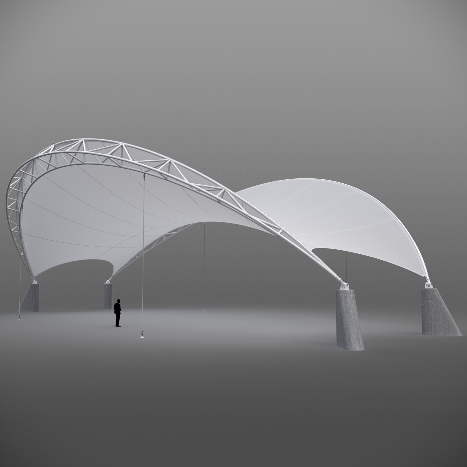 tensile membrane canopy max
