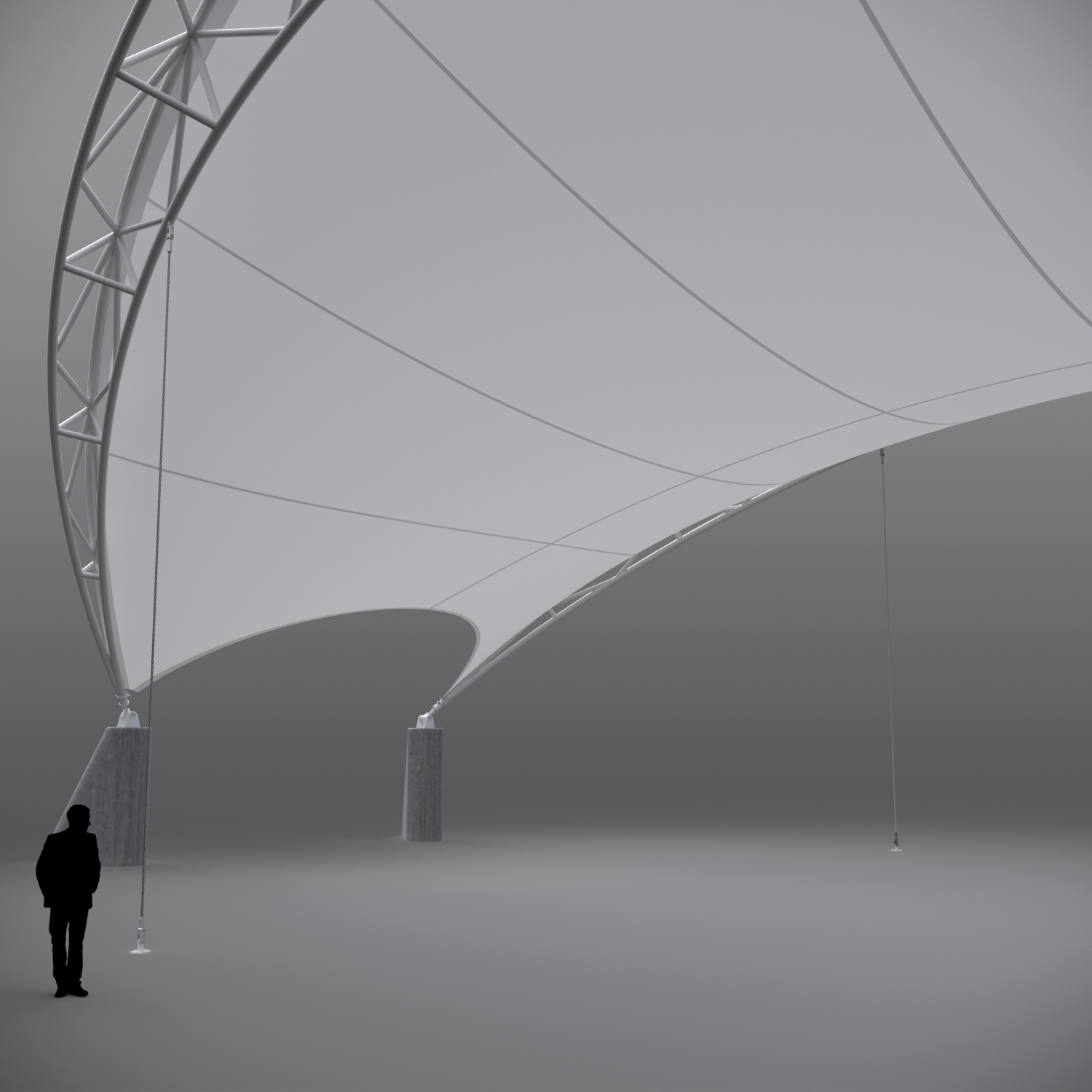 tensile membrane canopy max