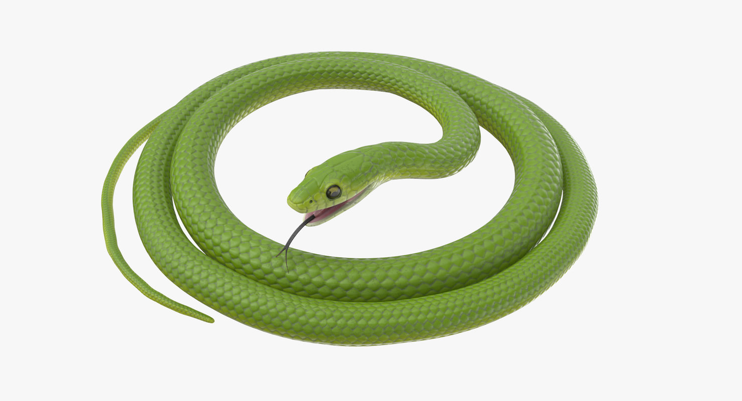green snake rigged 3d c4d