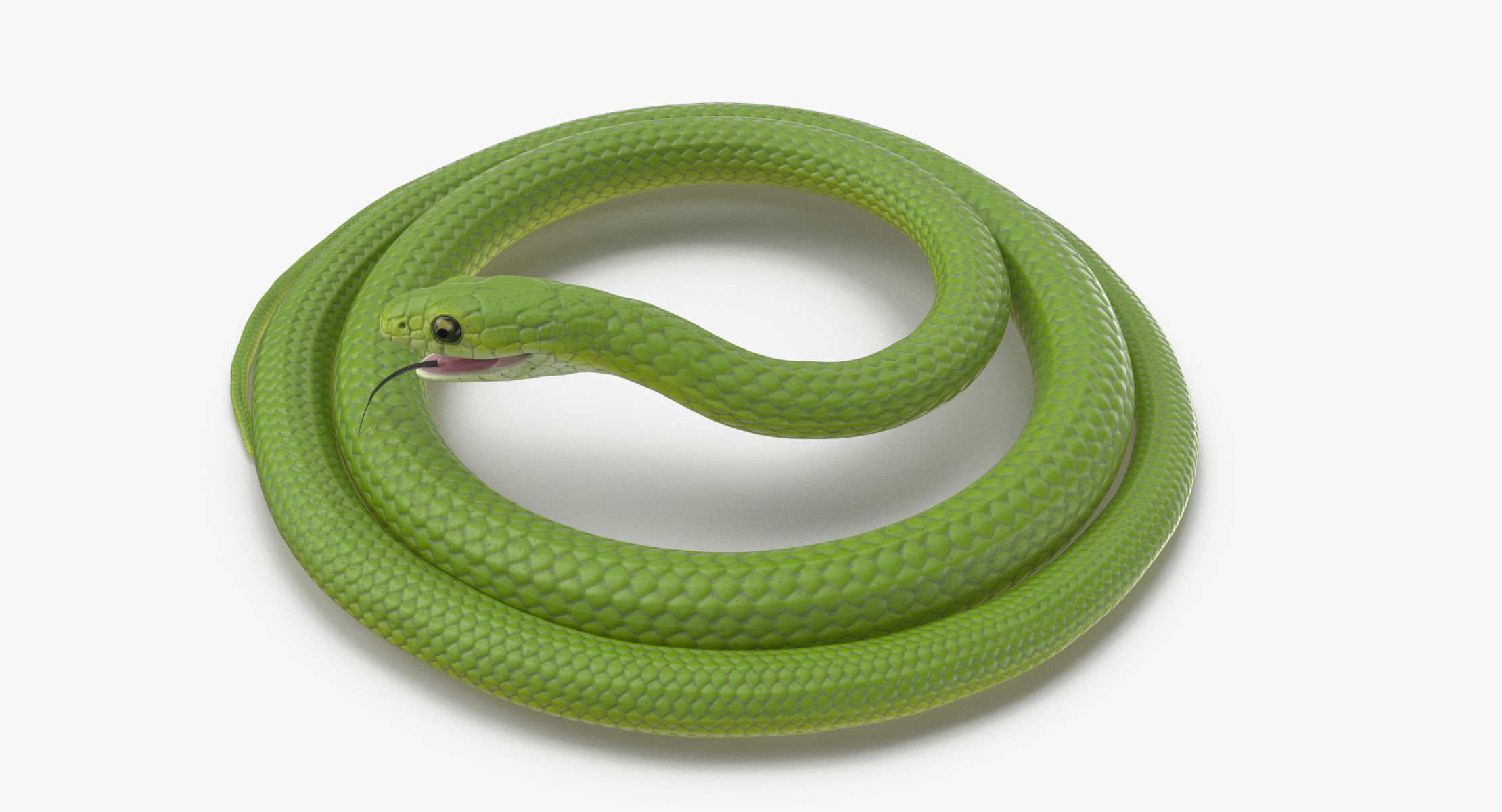 green snake rigged 3d c4d