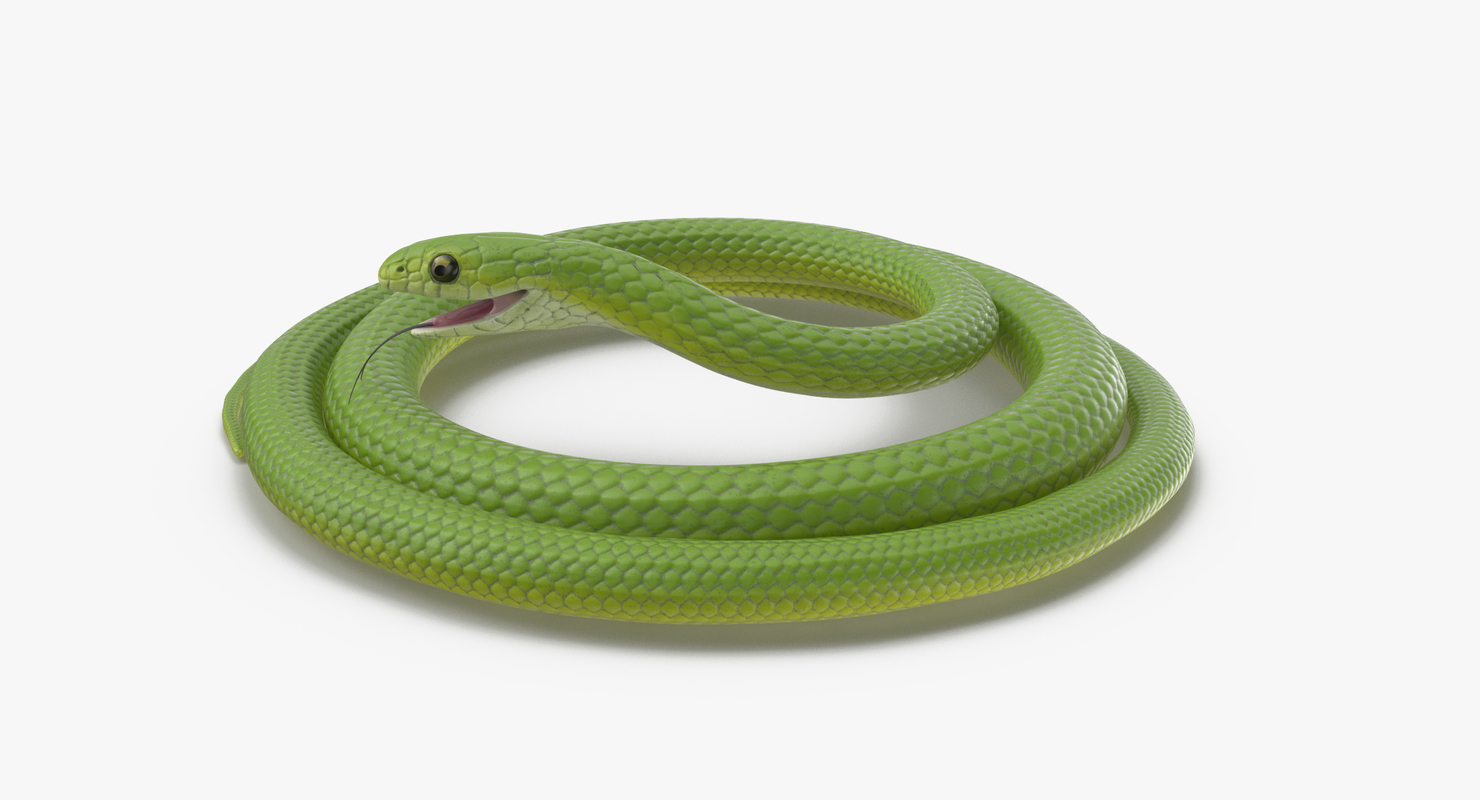 green snake rigged 3d c4d