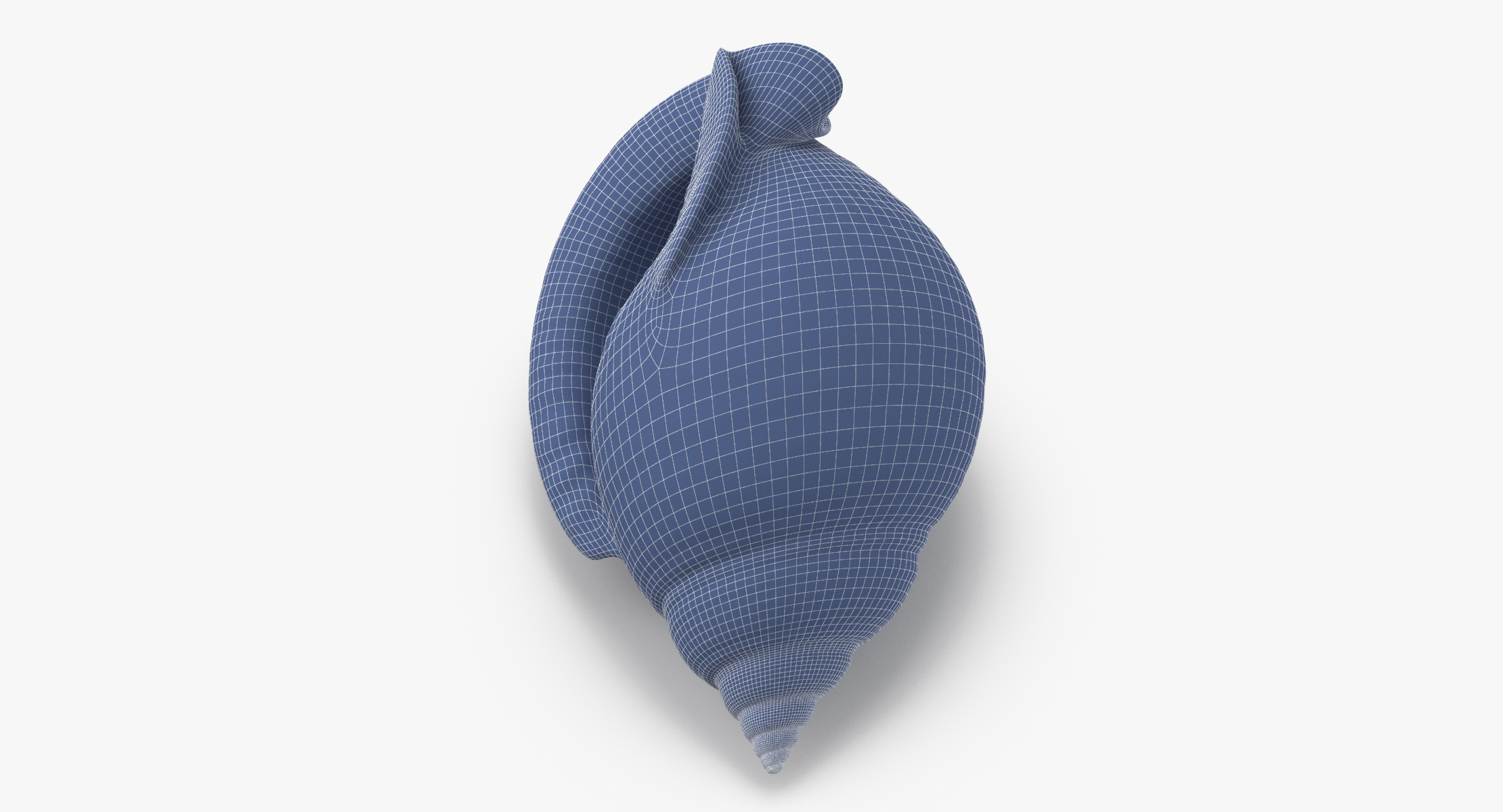 3d scotch bonnet shell