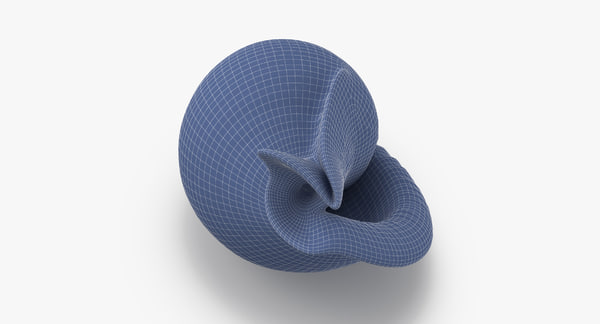 3d scotch bonnet shell