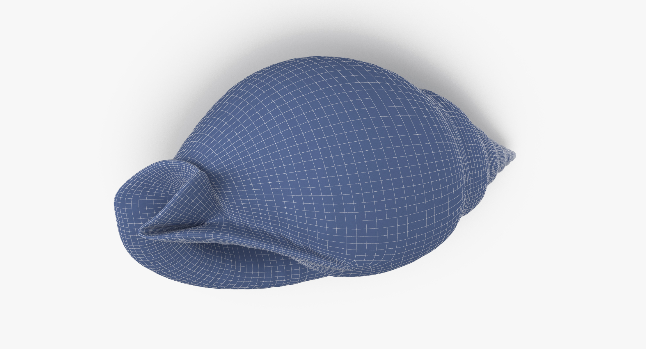 3d scotch bonnet shell
