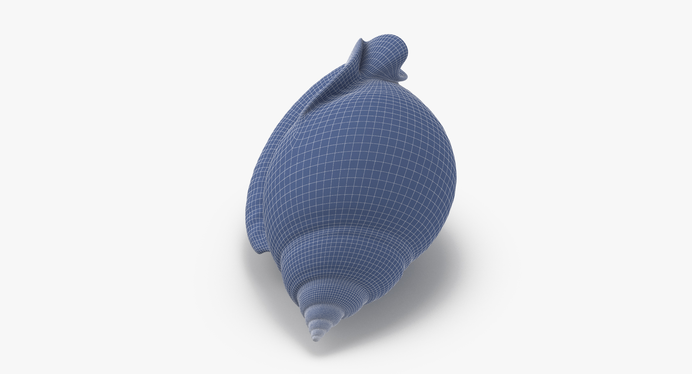 3d scotch bonnet shell