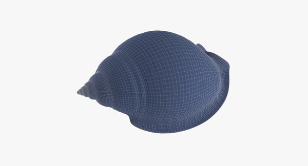 3d scotch bonnet shell