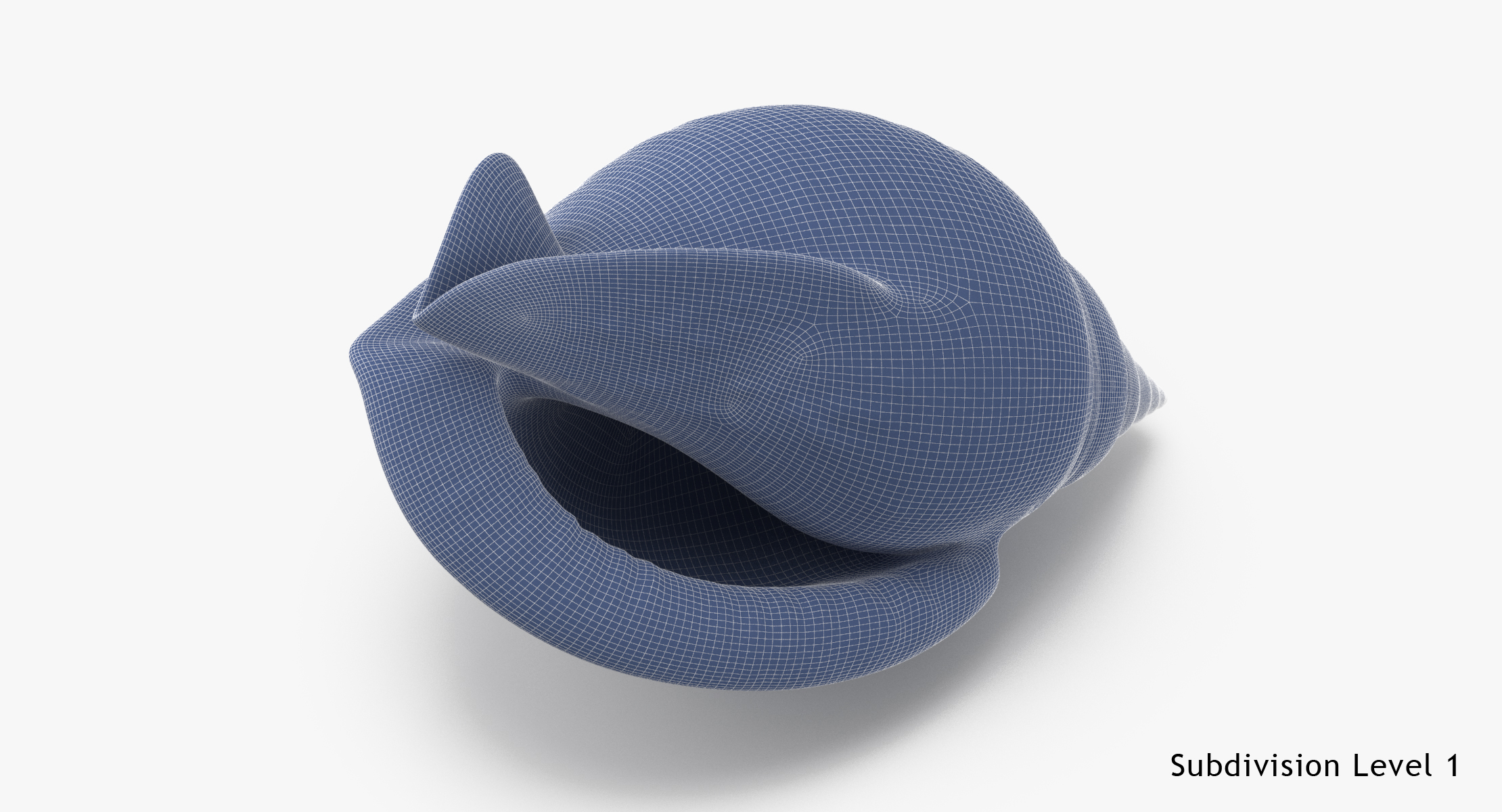 3d scotch bonnet shell