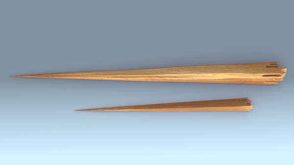 3d wood splinter model