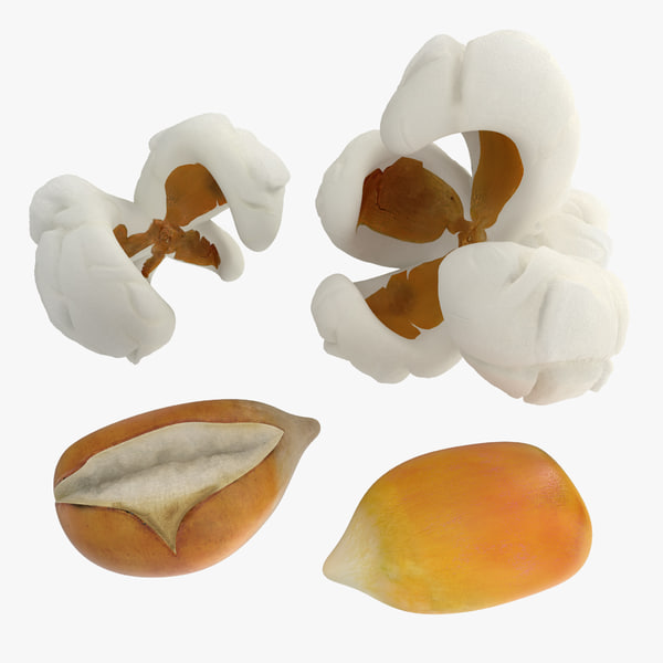 popcorn corns 3d model