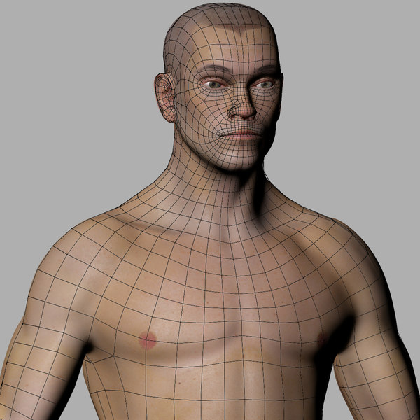3d realistic male body