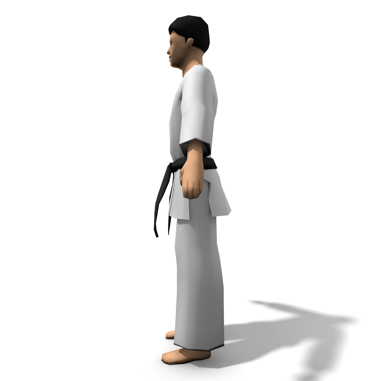 3d model karate character