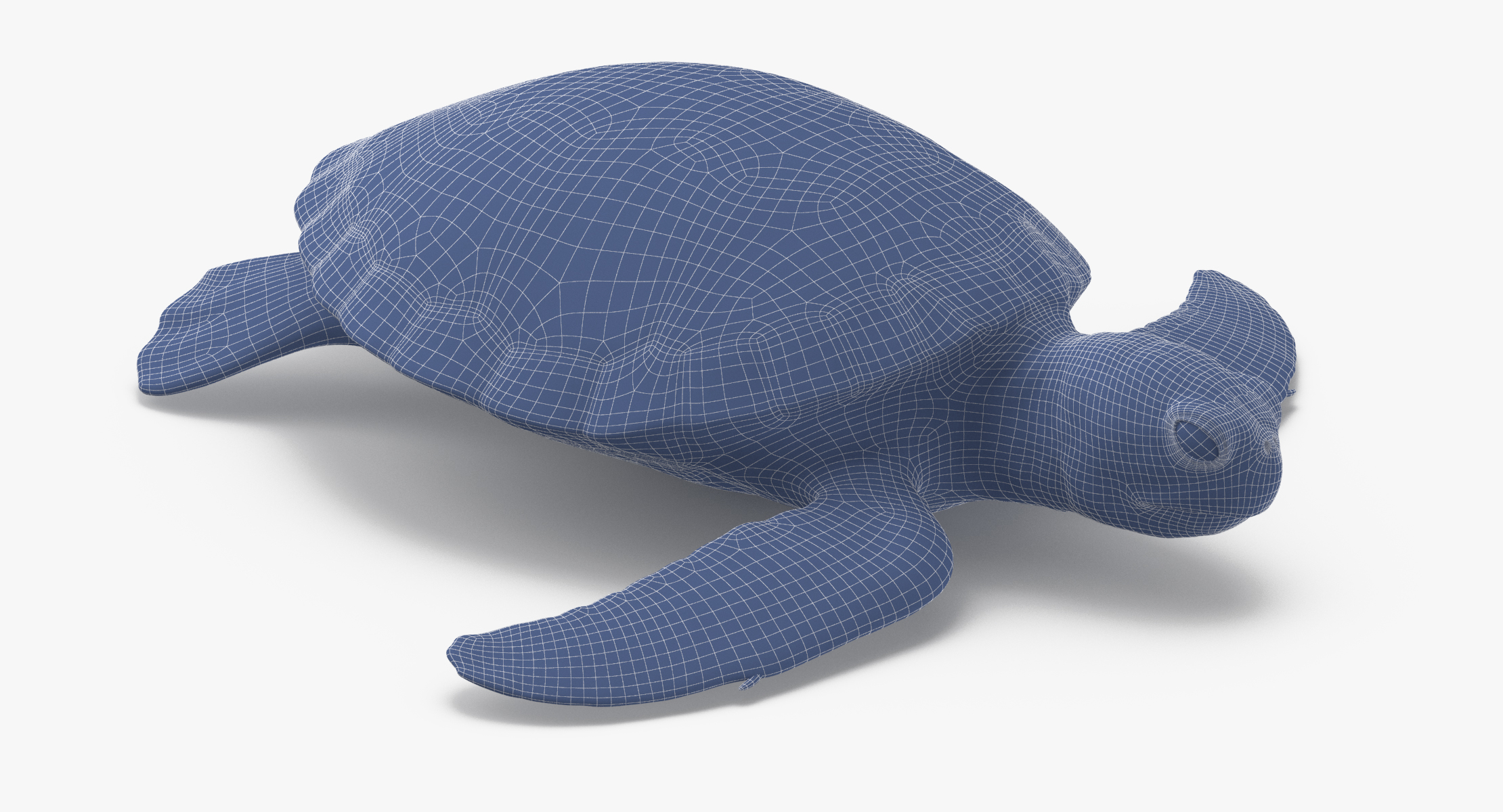 sea turtle rigged 3d model