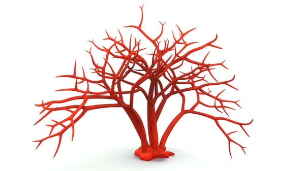 3D Algae Models | TurboSquid