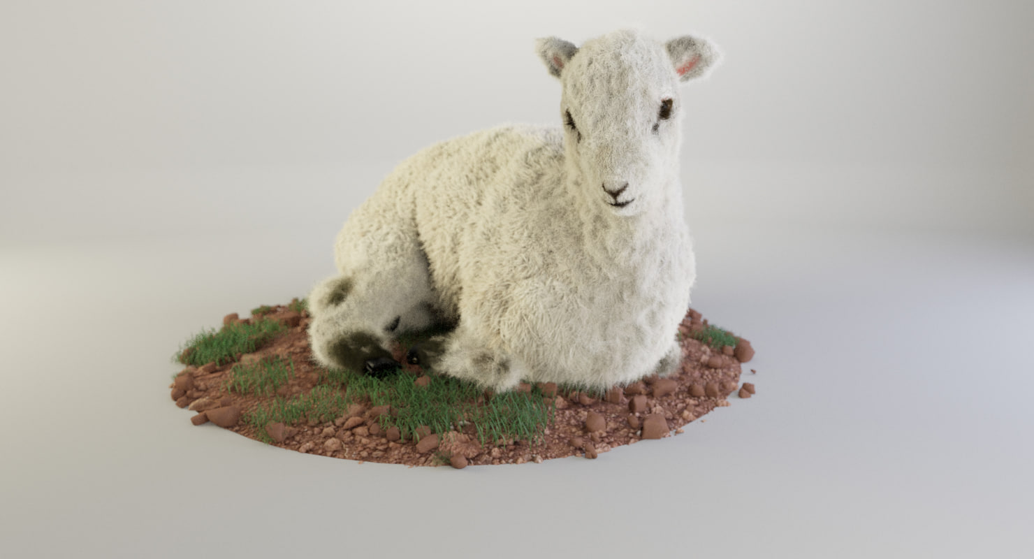 realistic rigged lamb fur 3d model