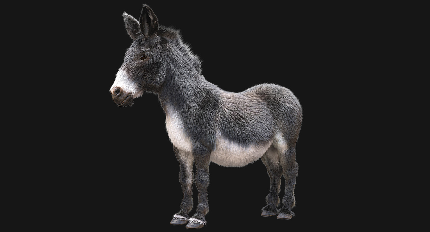 donkey hair 3d max