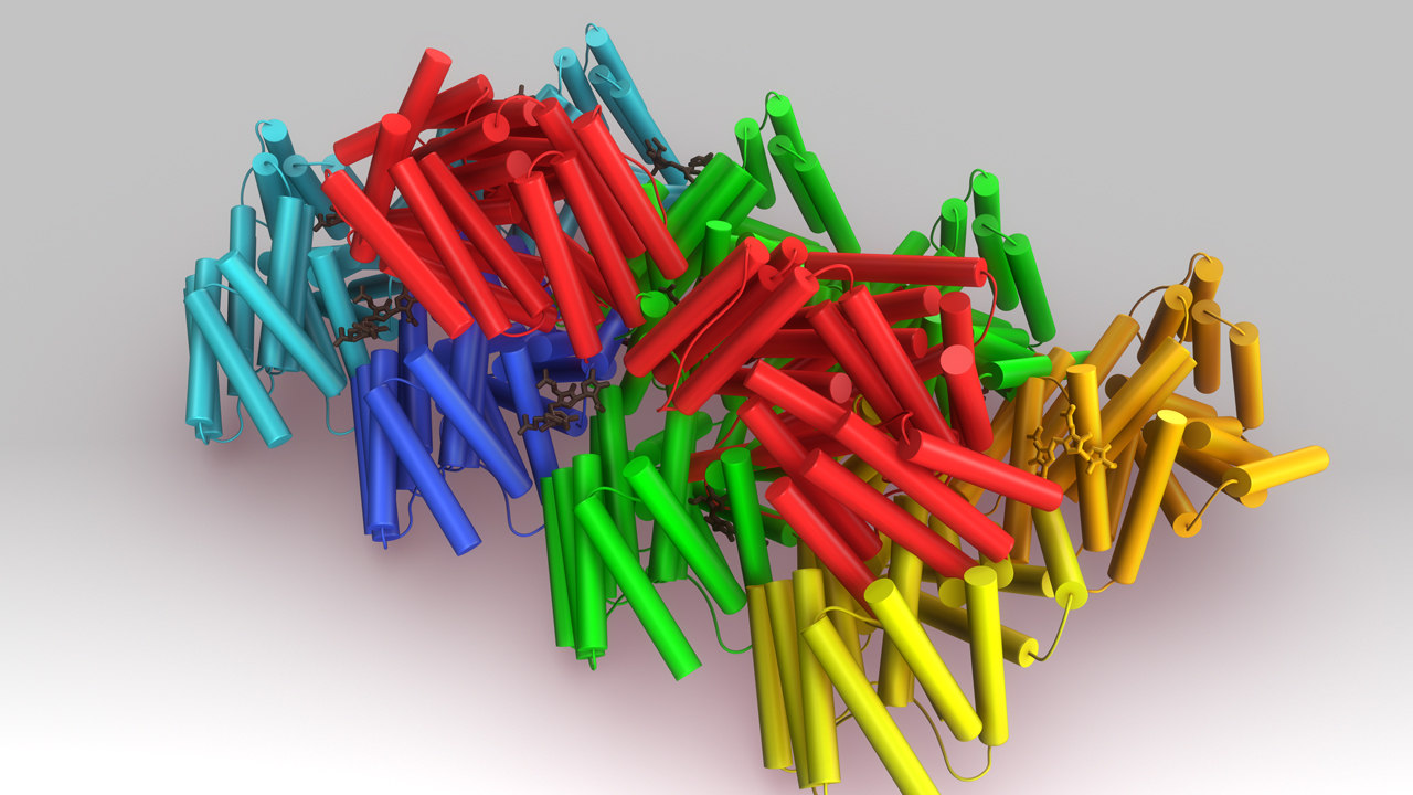 modelo 3d Ficoeritrina - TurboSquid 1099590