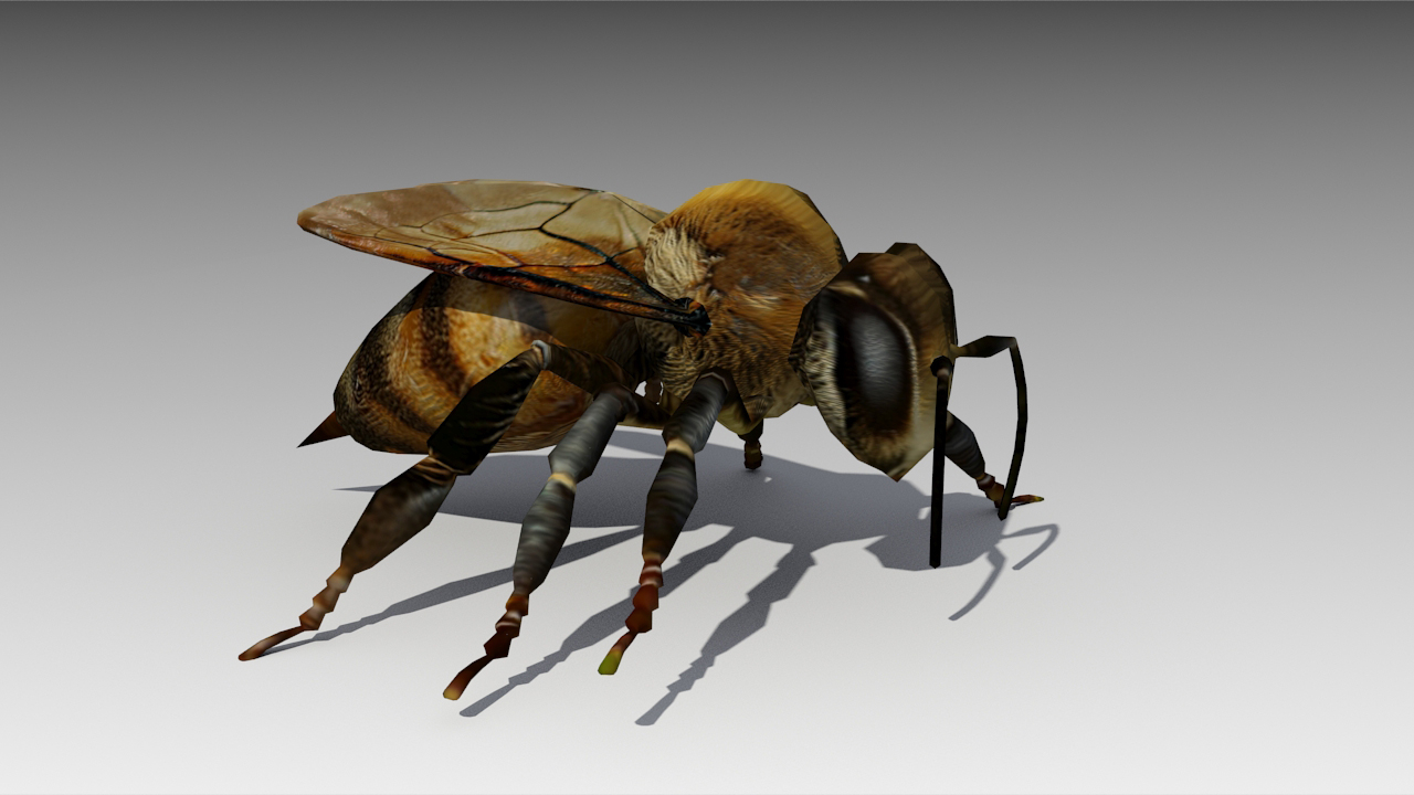max honey bee animations