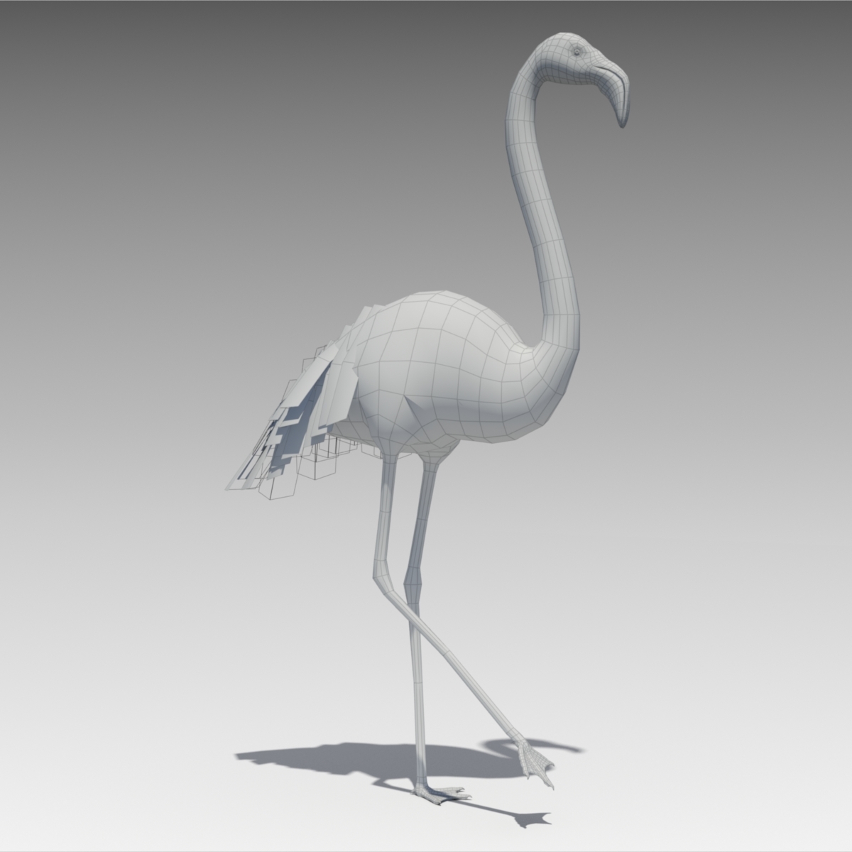 3d model flamingo animations