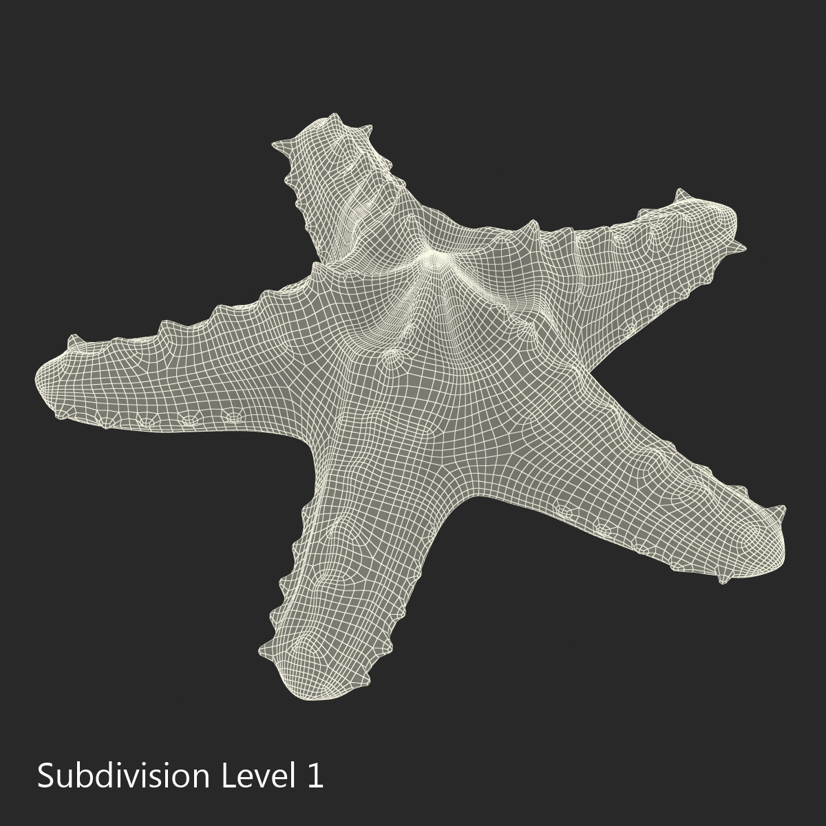 3d red knobbed starfish rigged