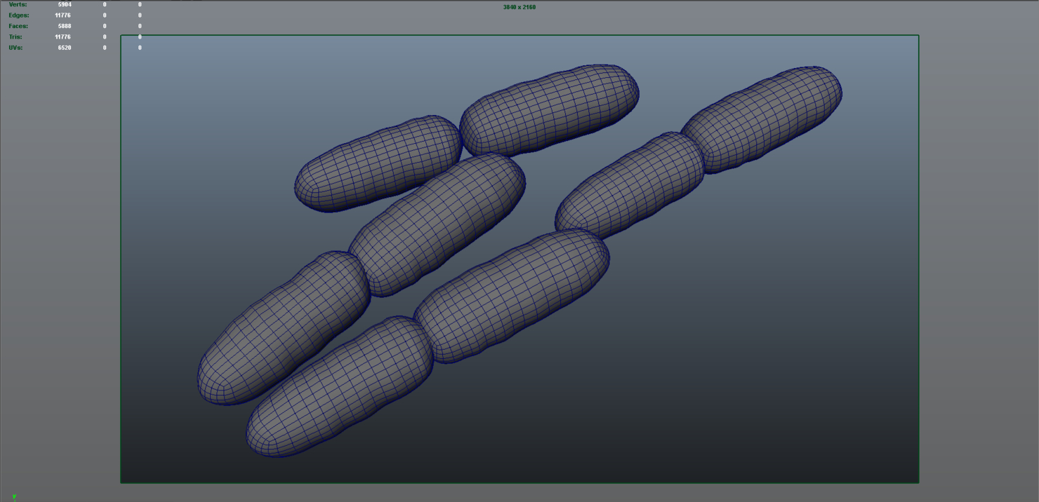 bacteria ba 3d model