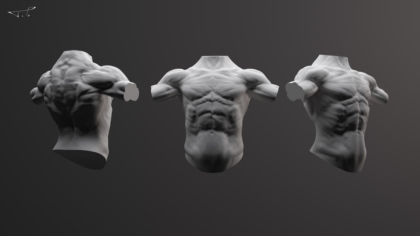 arms torso 3d obj