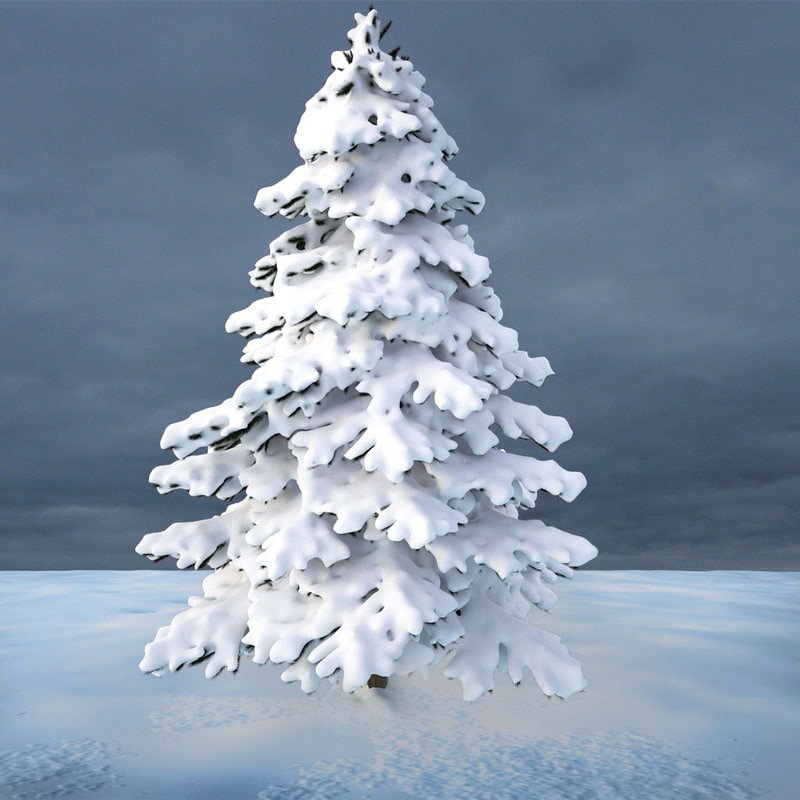 3d model snowy spruce tree v1