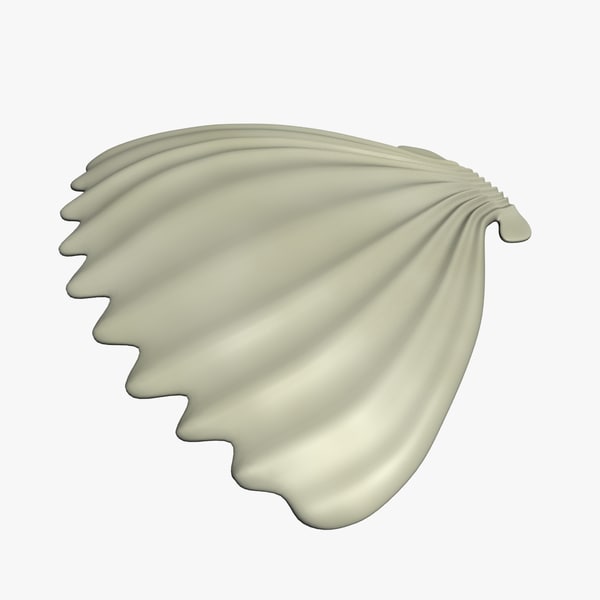 sea shell 3d max