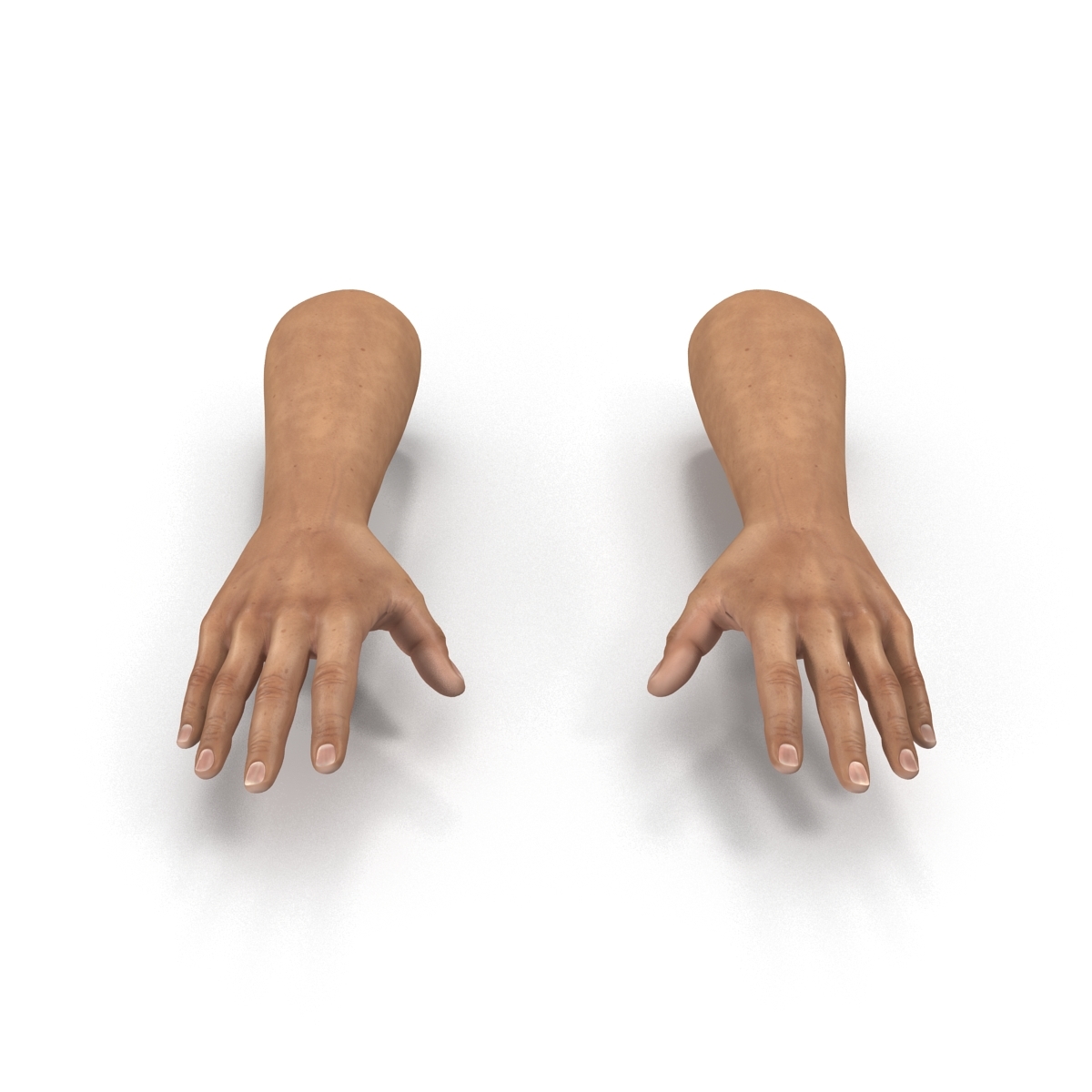 3d man hands rigged model