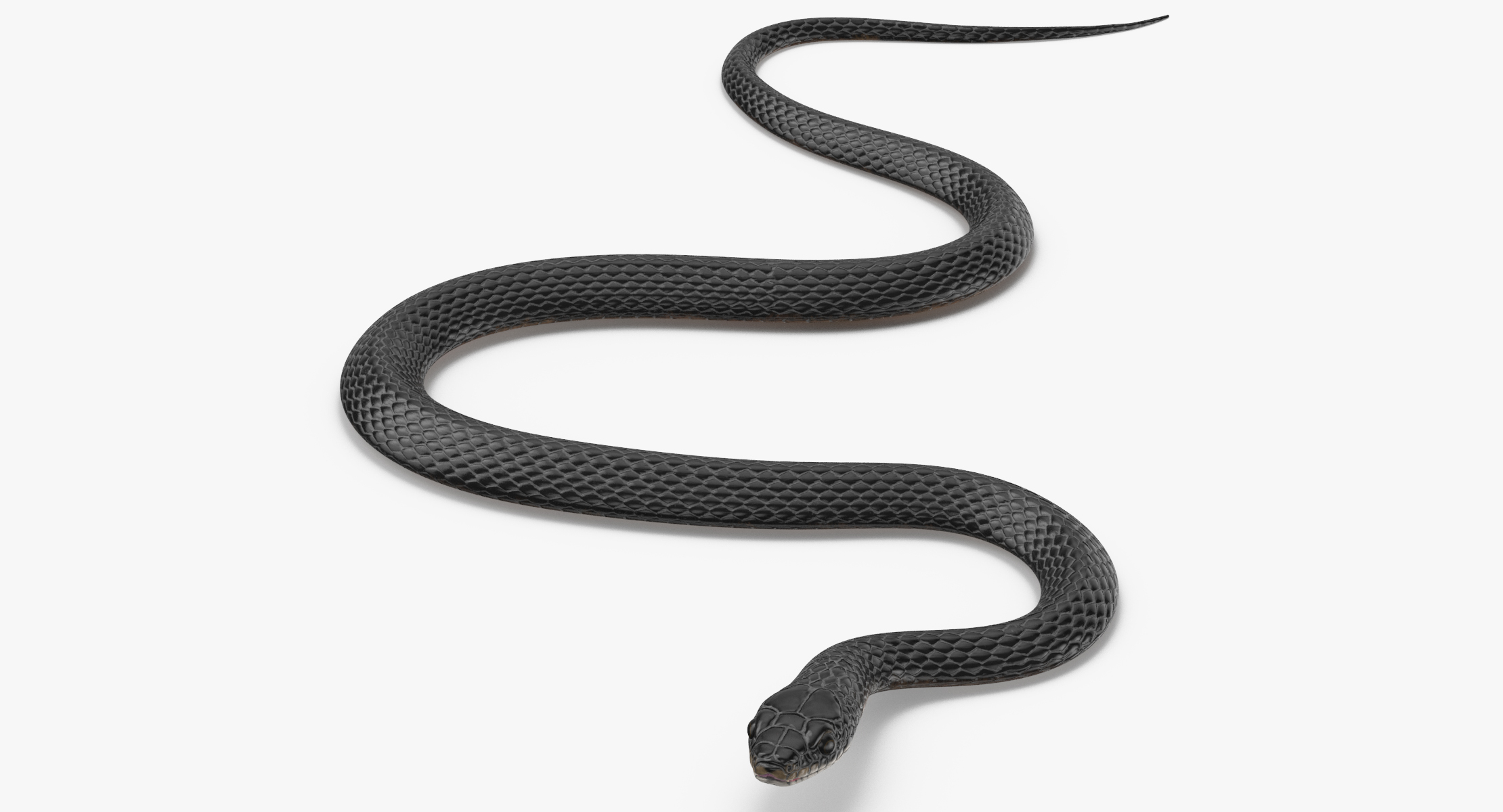 3d model black snake poses