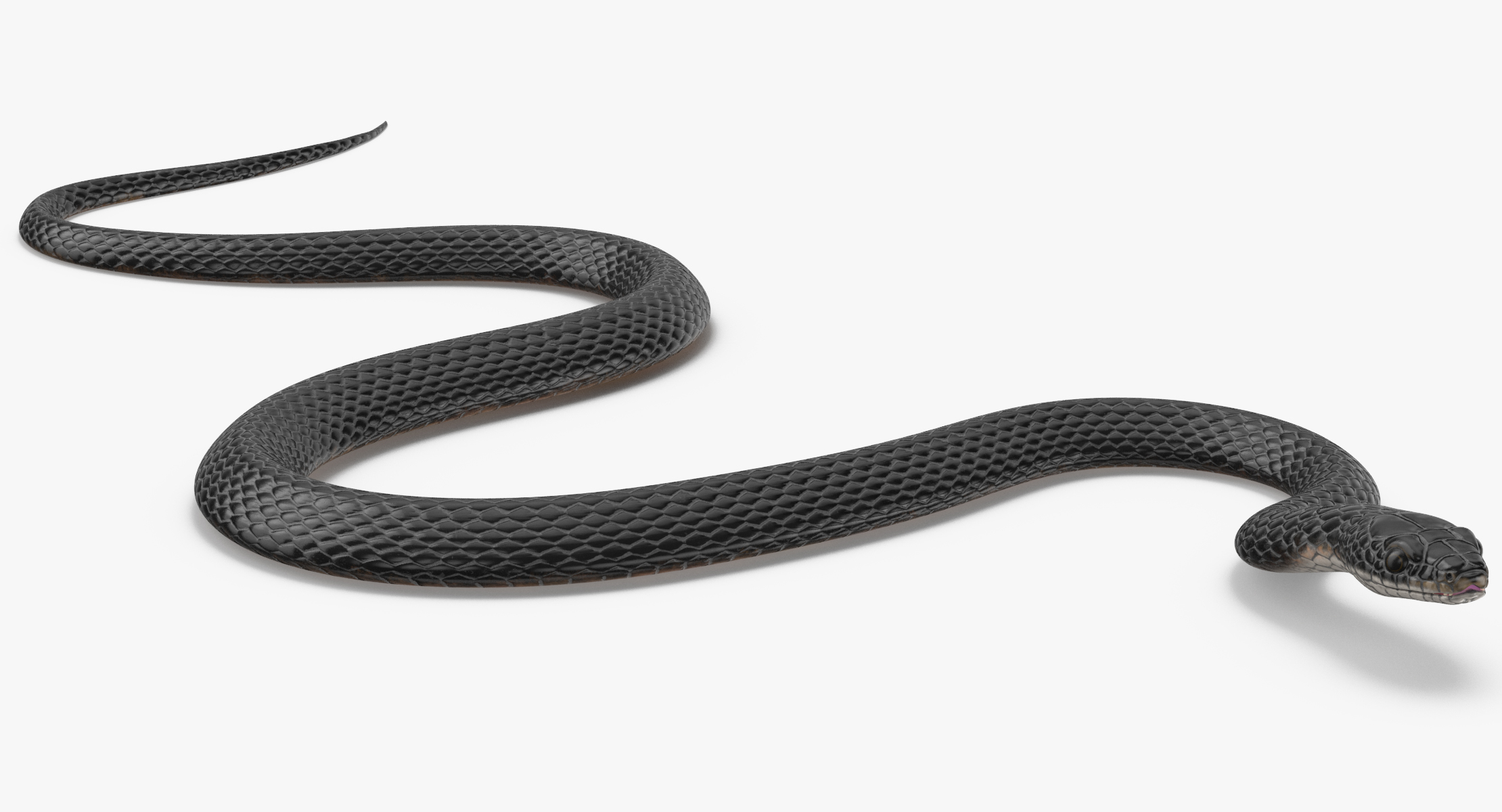 3d model black snake poses