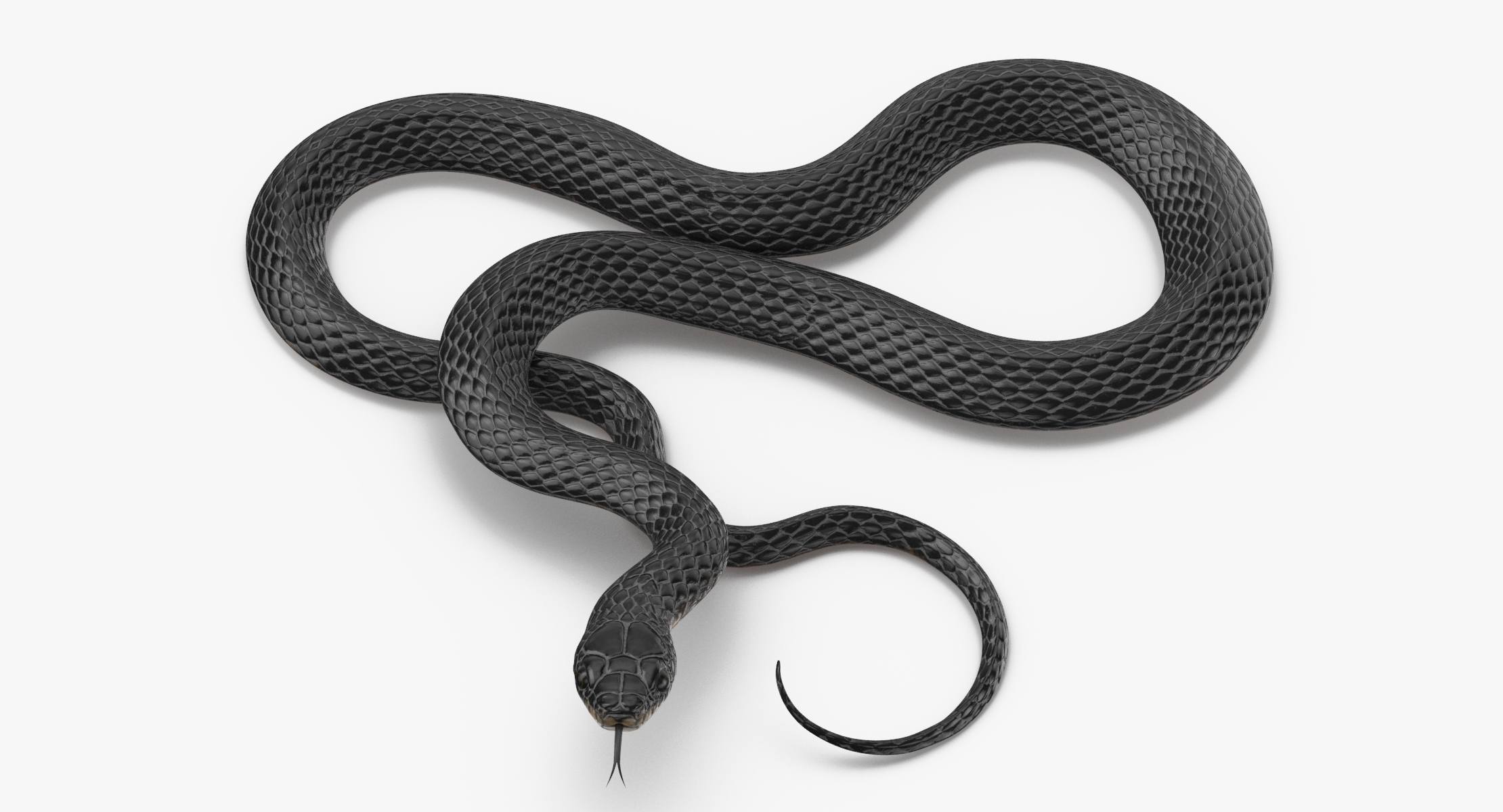 3d model black snake poses