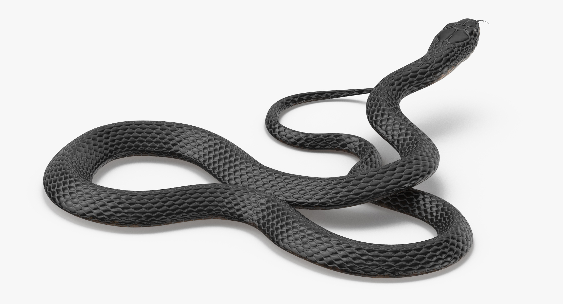 3d model black snake poses