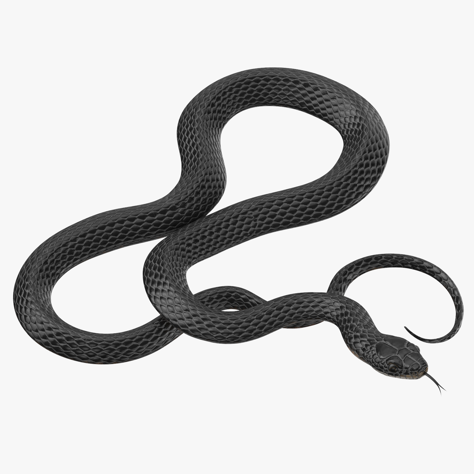3d model black snake poses
