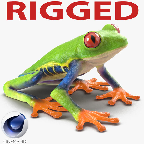 Free 3D Frog Models | TurboSquid