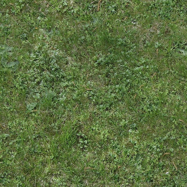 Texture Windows Bitmap ground textures floor