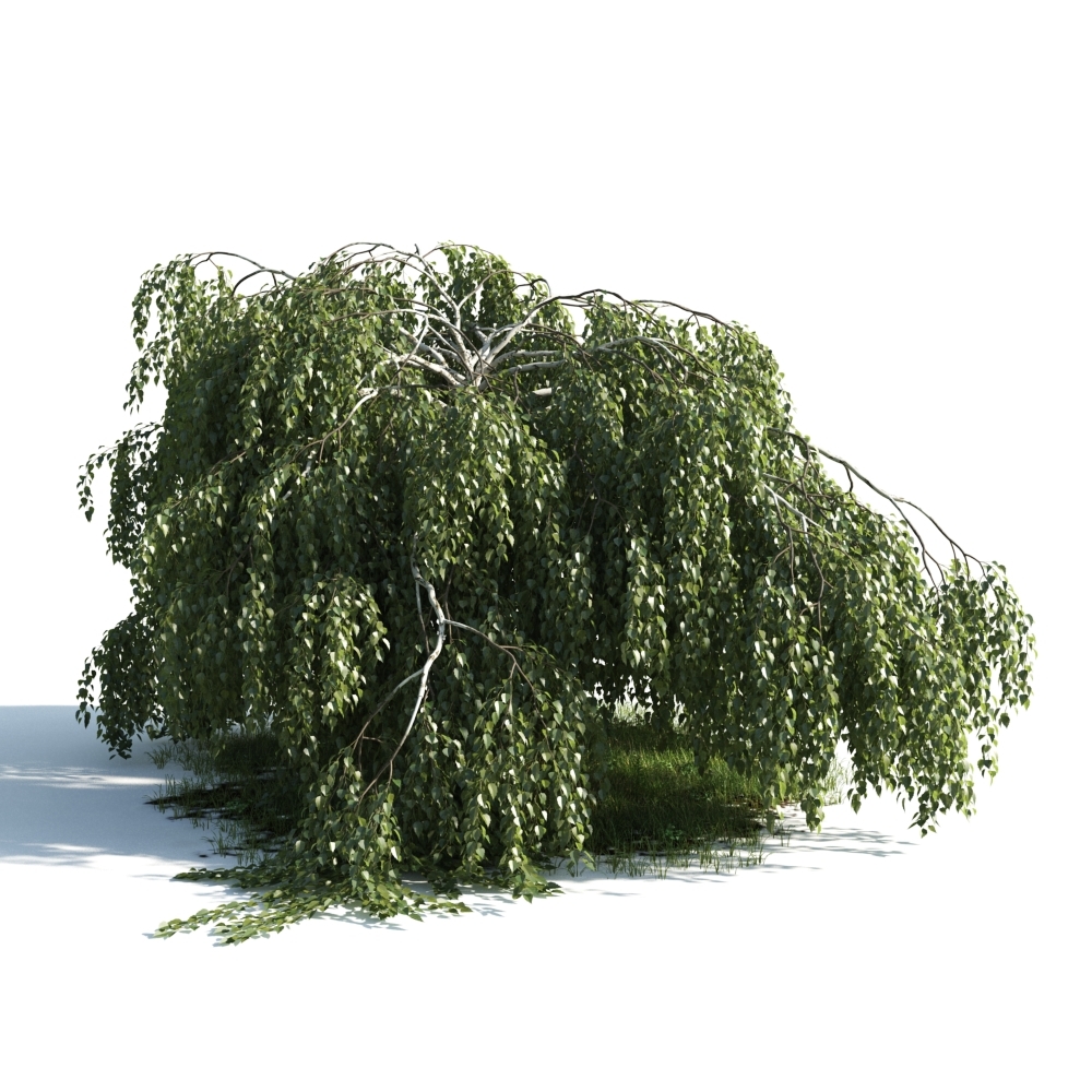 max archmodels vol 176 trees